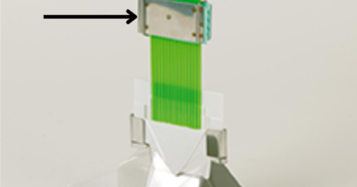 Clip for 15 medium straws - IMV Technology US