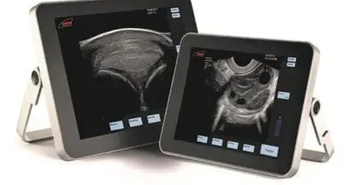 ExaPad Veterinary ultrasound scanner - IMV Technology US