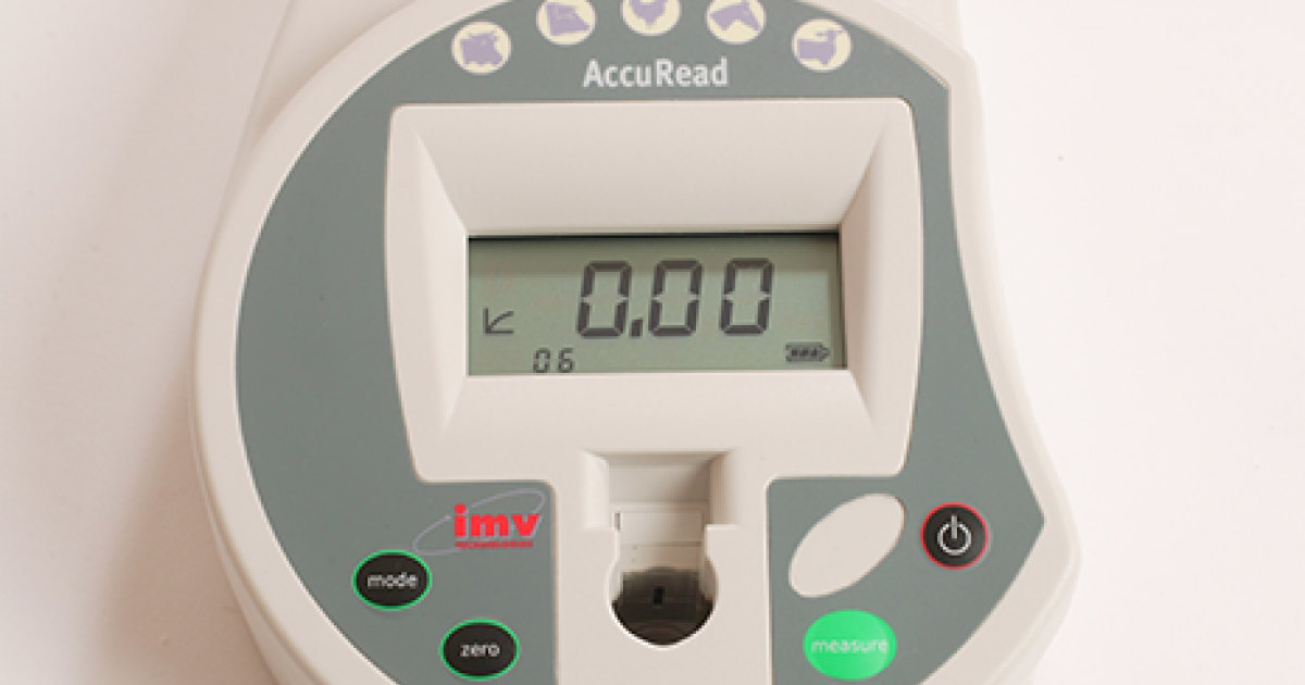 Ovine-caprine Accuread photometer - IMV Technology US