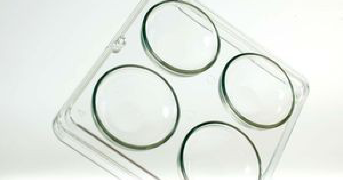 Sterilized dish - IMV Technology US